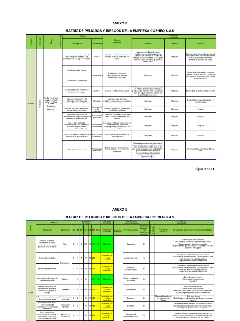 Anexo e Matriz de Peligros y Riesgos de La Empresa Coeneq S.A.S | PDF