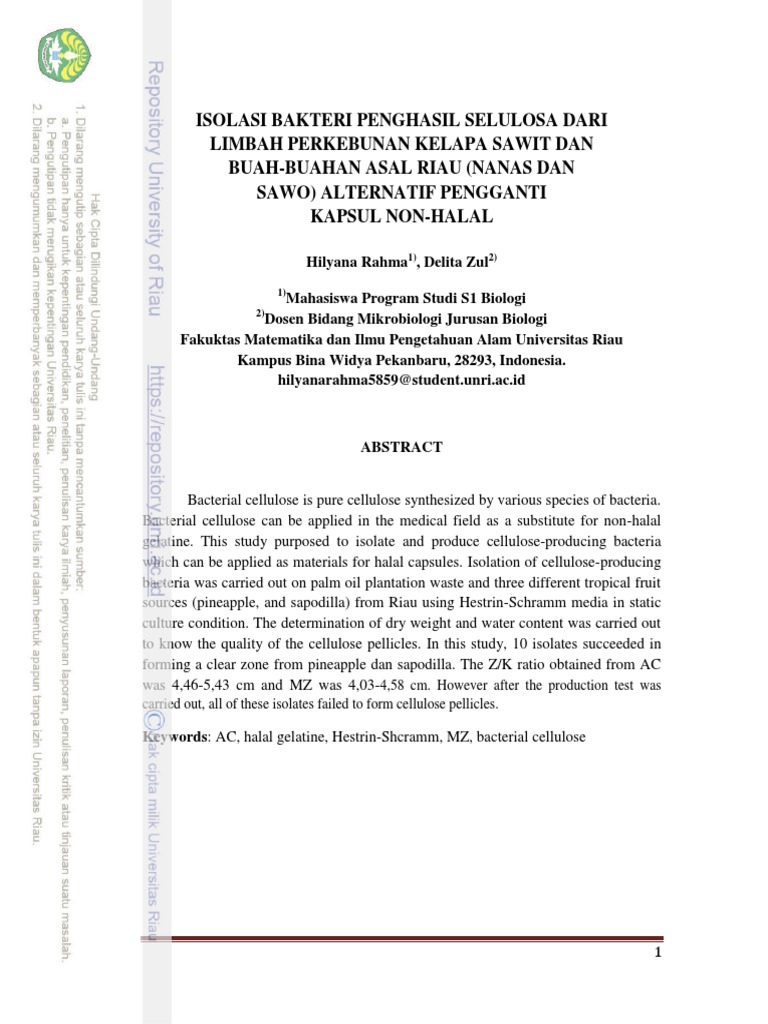 HILYANA RAHMA - Compressed | PDF | Sains & Matematika