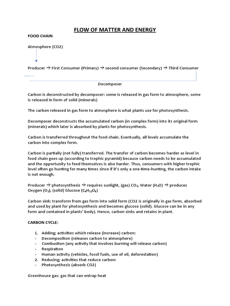 Flow of Matter and Energy | PDF | Water | Water Vapor