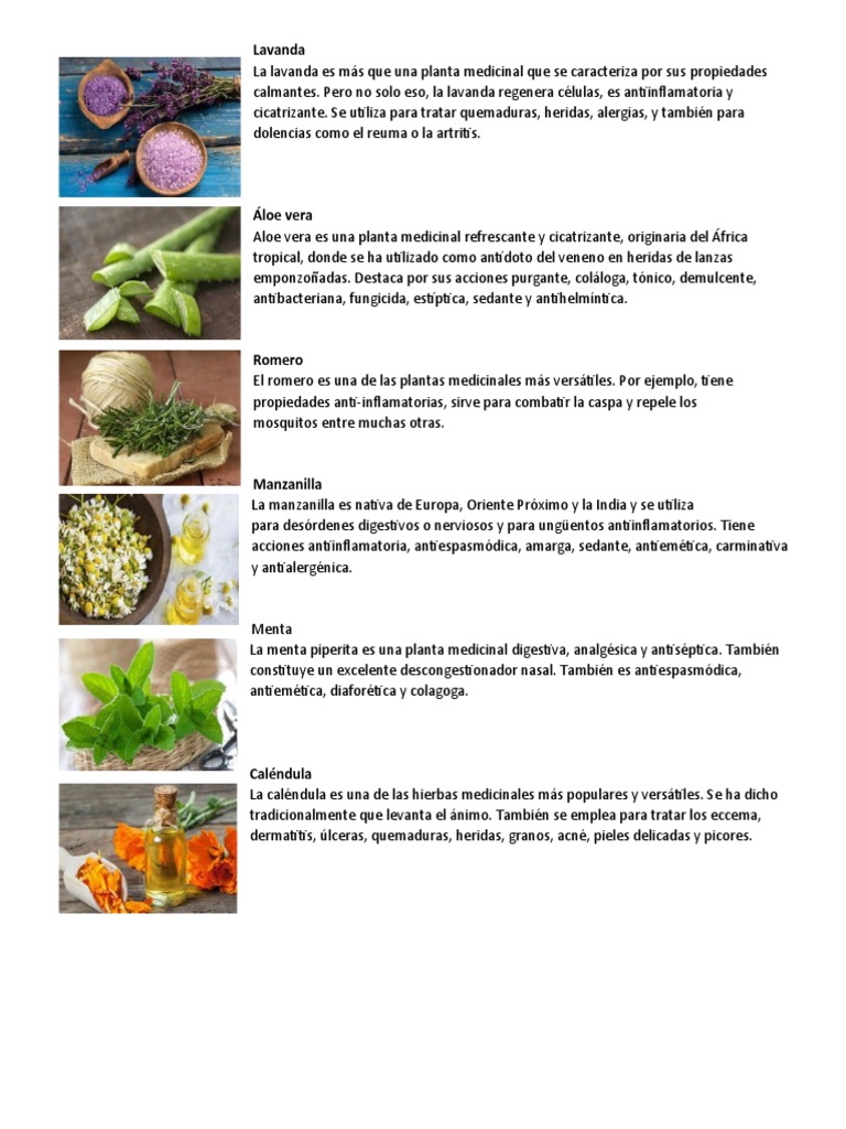 10 Medicinas Naturales | PDF | Plantas medicinales | Ajo