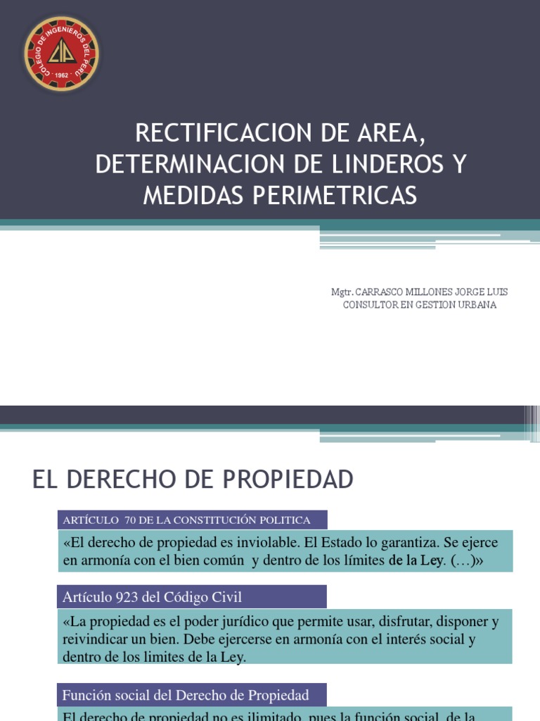 Rectificacion de Area | PDF | Propiedad | Justicia