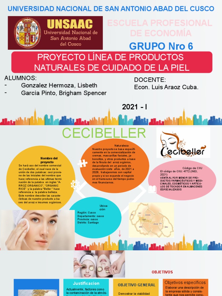 Proyecto Cuidado de La Piel EXPO 2 | PDF | Economias