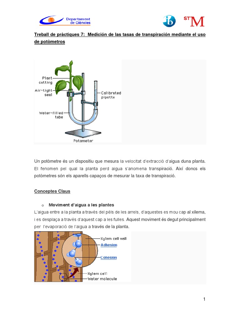 2021 2022 TP7 Estudi de La Transpiracio | PDF