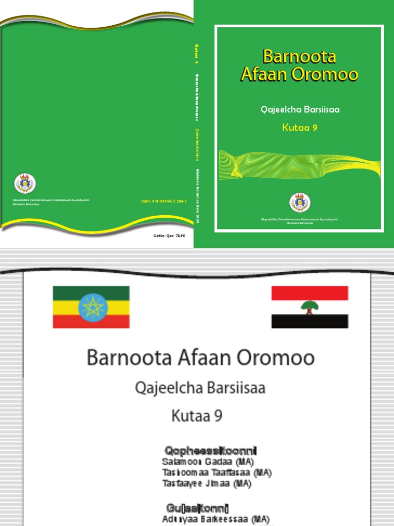Afaan Oromoo Grade 9 Teacher Guides | PDF