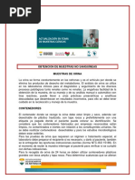 GUÍA de PROCEDIMIENTOS Control de La Diuresis | PDF | Vejiga urinaria ...