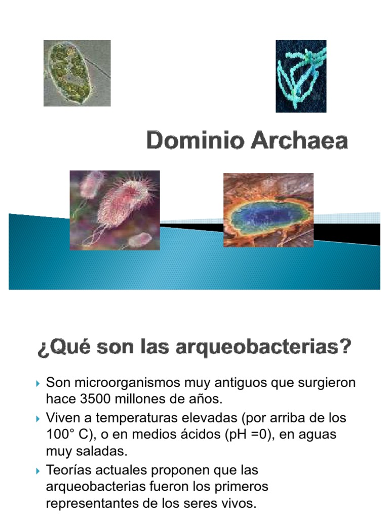 Dominio Archaea | Ciencias de la tierra y de la vida | Biología