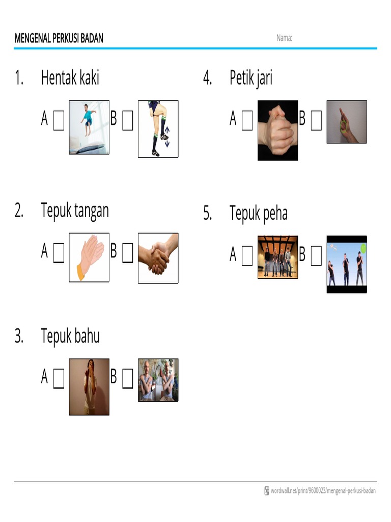 Mengenal Perkusi Badan untuk Pemula | PDF