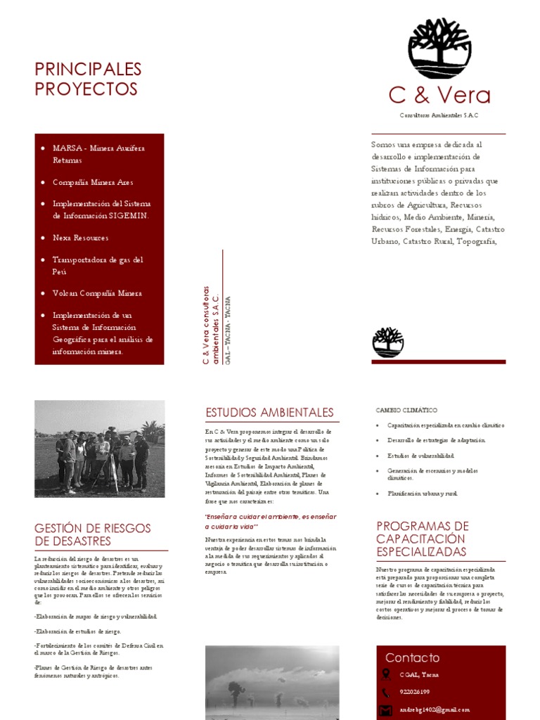 Triptico Andre Chambilla | PDF | Minería | Reducción de Desastres