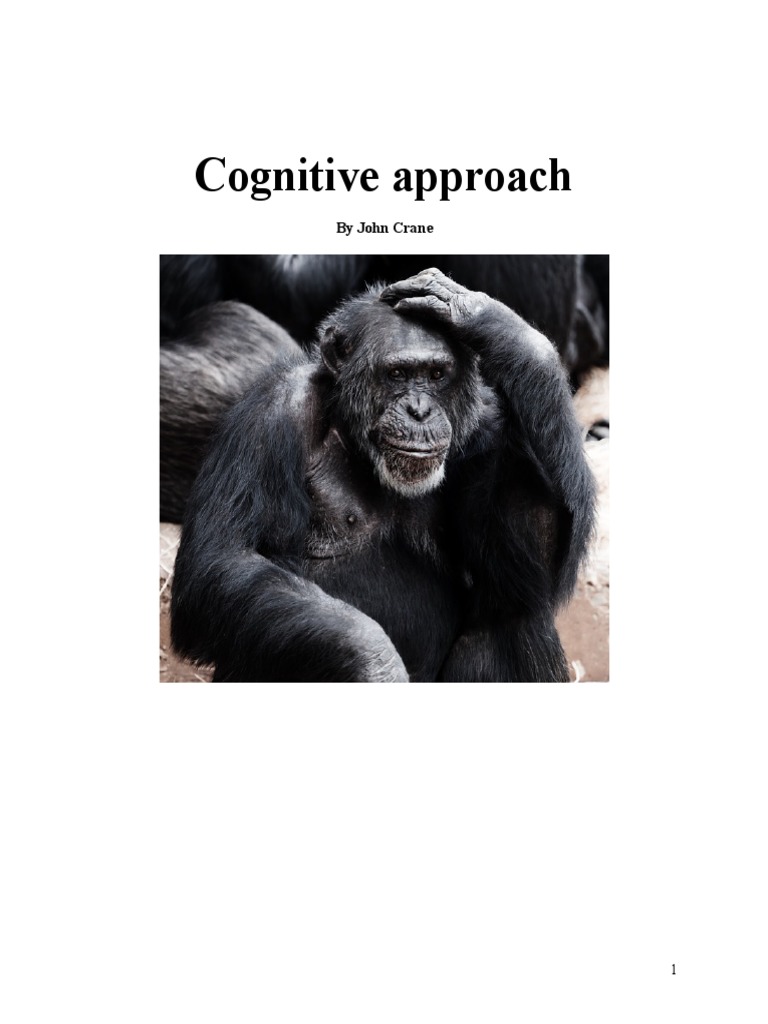 Cognitive Approach in IB Psychology | PDF | Memory | Cognitive Psychology