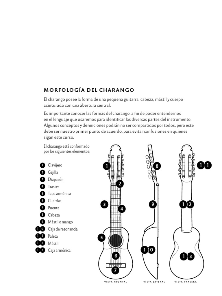 Charango 1 | PDF | Hogar, jardinería y bricolaje