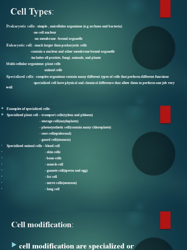 A Comprehensive Overview of Cell Types and Specialization: From ...