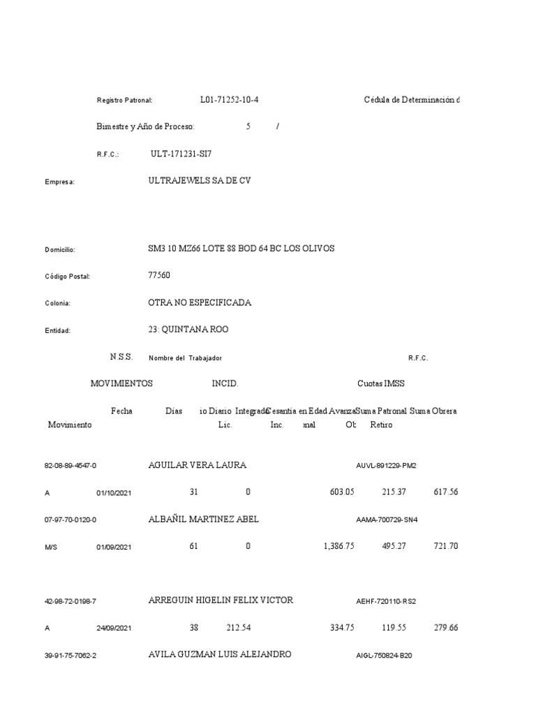 Cedula Determinacion de Cuotas Amort y Aport 5 Bim | PDF | Responsabilidad (contabilidad ...