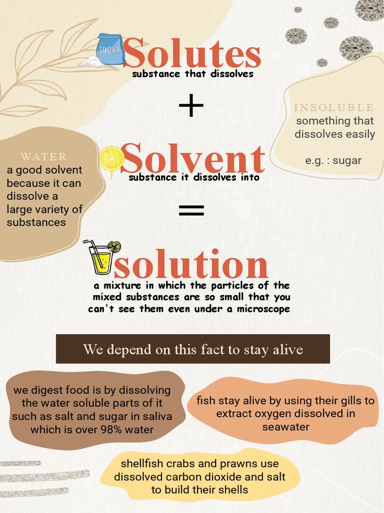 Understanding Solutions and Solvents | PDF
