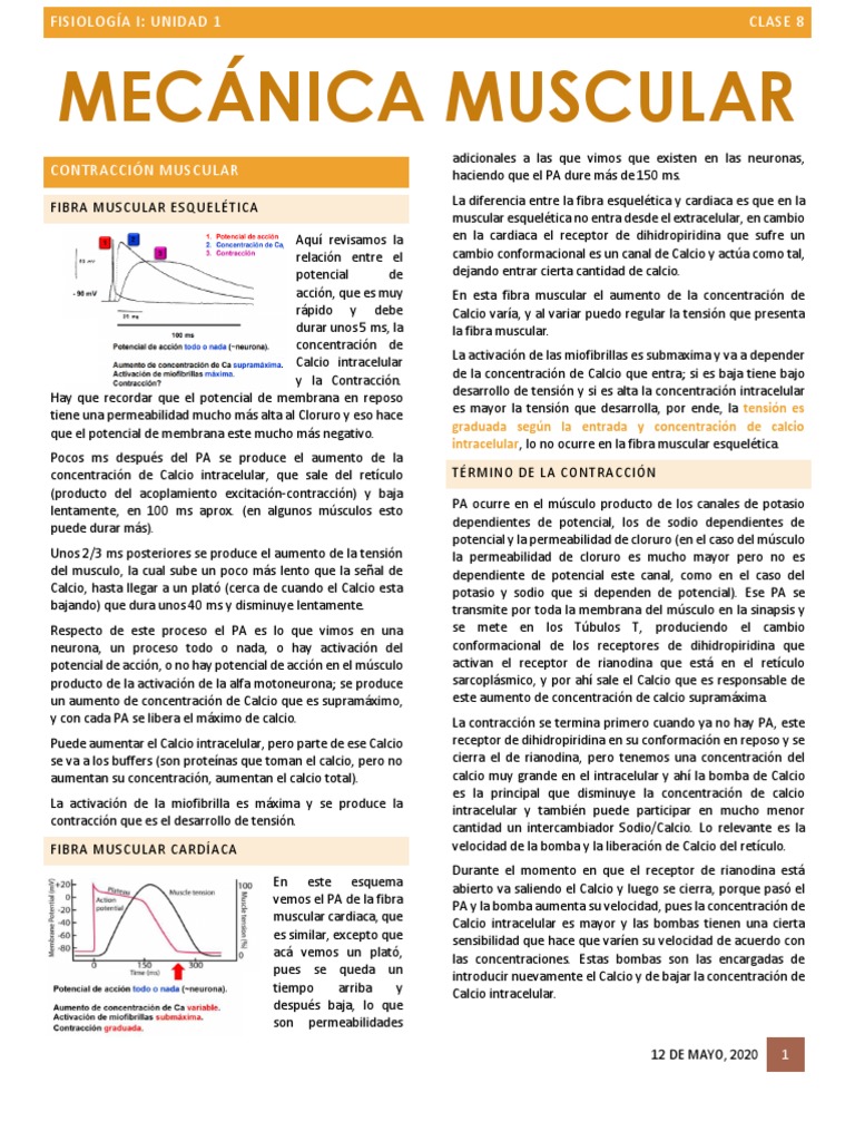 Mecánica Muscular | PDF | Contracción muscular | Músculo esquelético