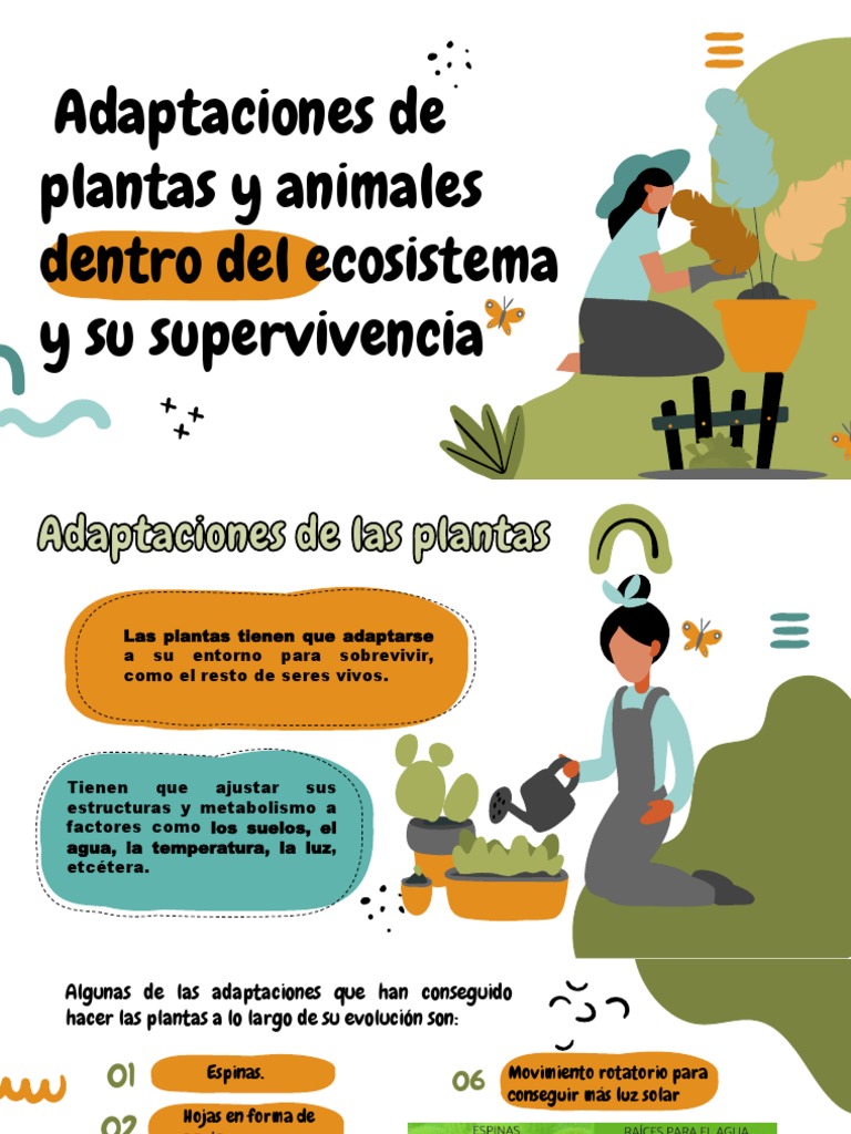Adaptacion de Los Animales y Plantas | Descargar gratis PDF | Mimetismo ...