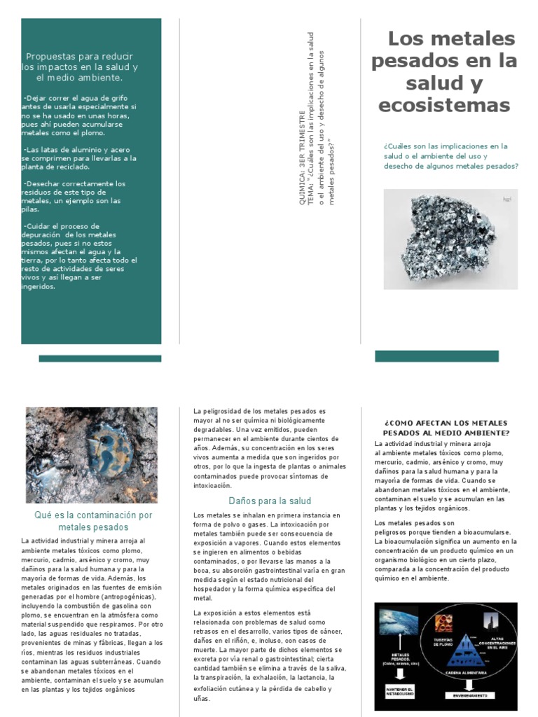 Triptico Quimica Metales Pesados | PDF | Cadmio | Rieles