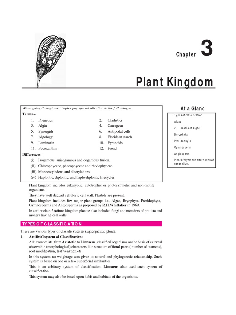 Plant Kingdom Classification and Types | PDF | Spore | Moss