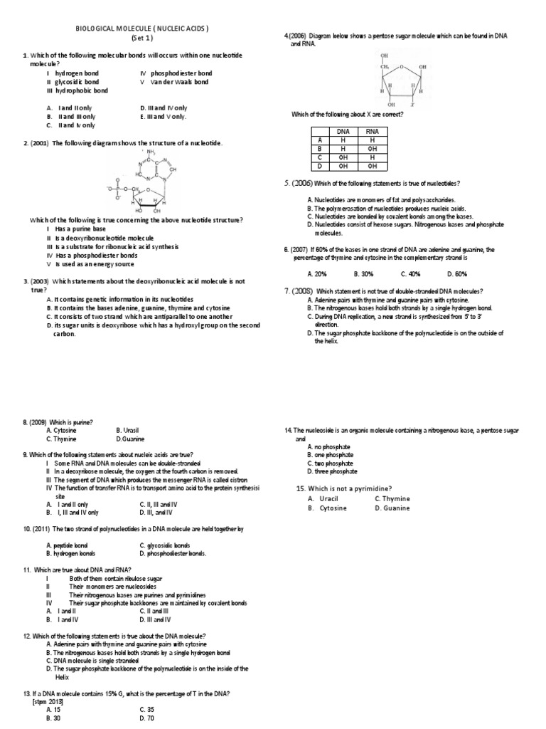 1.5 Nucleic Acids Set 1 Students | PDF | Nucleotides | Nucleic Acids