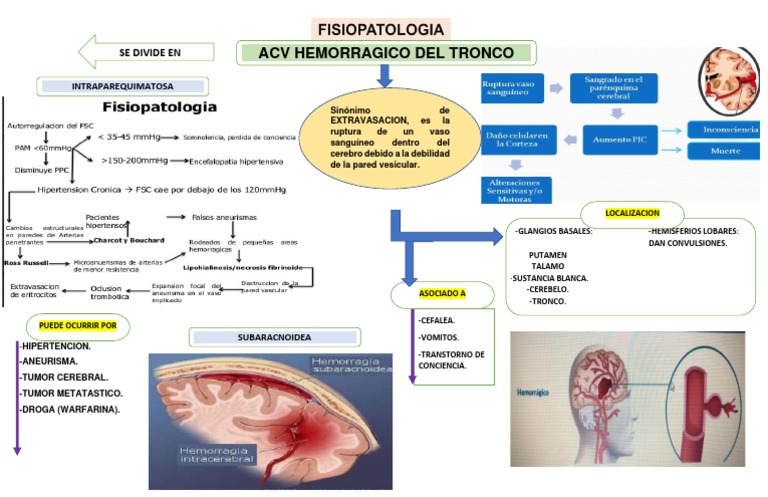 Fisiopatologia de Acv H PDF | PDF