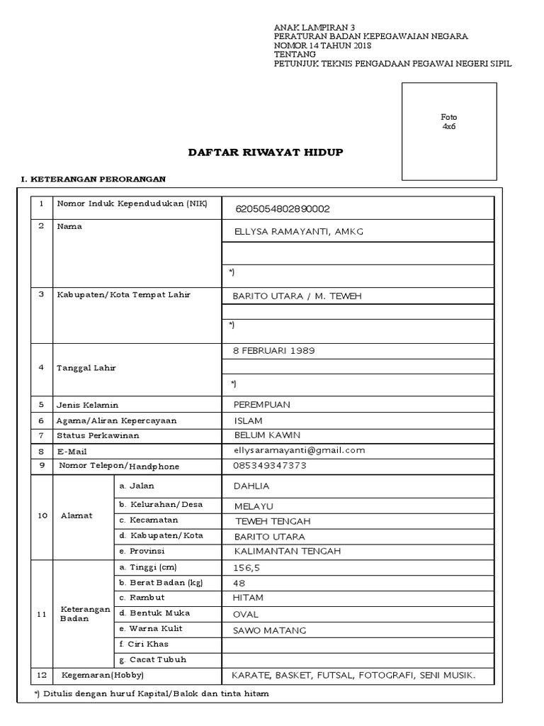 Contoh Daftar Riwayat Hidup PNS | PDF
