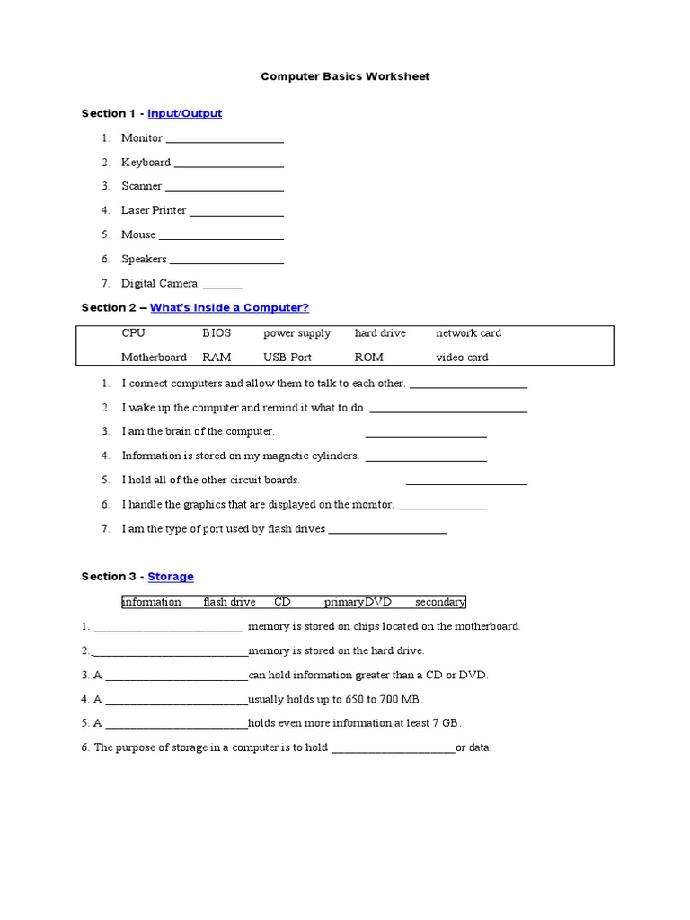 Input/Output: Computer Basics Worksheet Section 1 | PDF | Computer Data Storage | Window (Computing)
