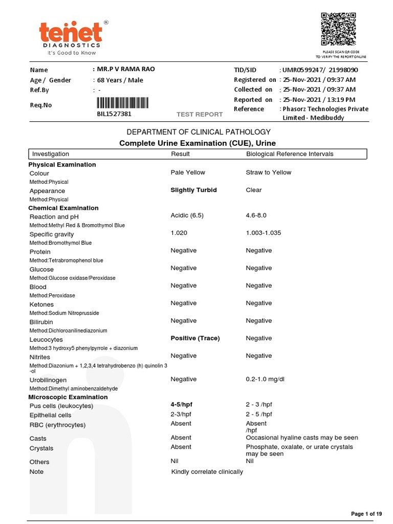 Complete Urine Examination (CUE), Urine: MR.P V Rama Rao | PDF ...