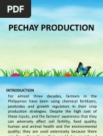 Growth and Yield Perpormance of Pechay Final | PDF | Fertilizer | Soil