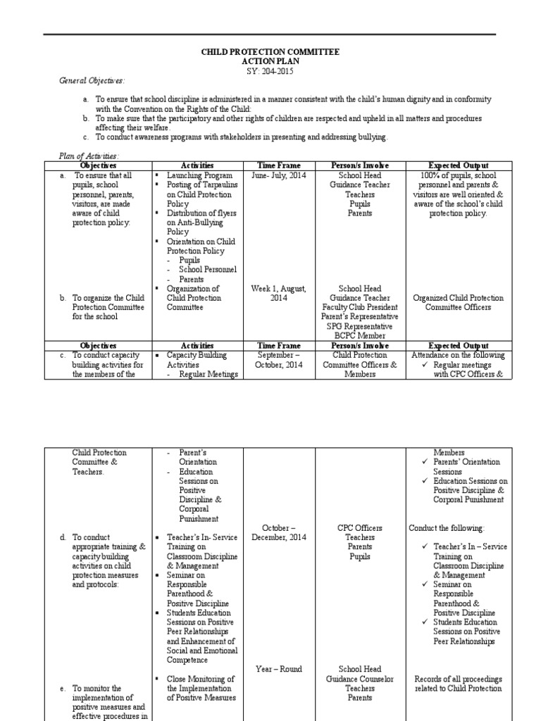 Child Protection Committee Action Plan: General Objectives | PDF ...