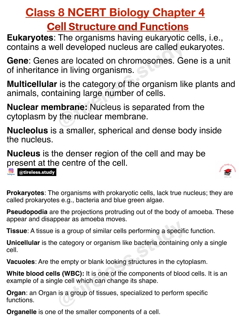 Cell Structure and Functions: Class 8 NCERT Biology Chapter 4 | PDF ...