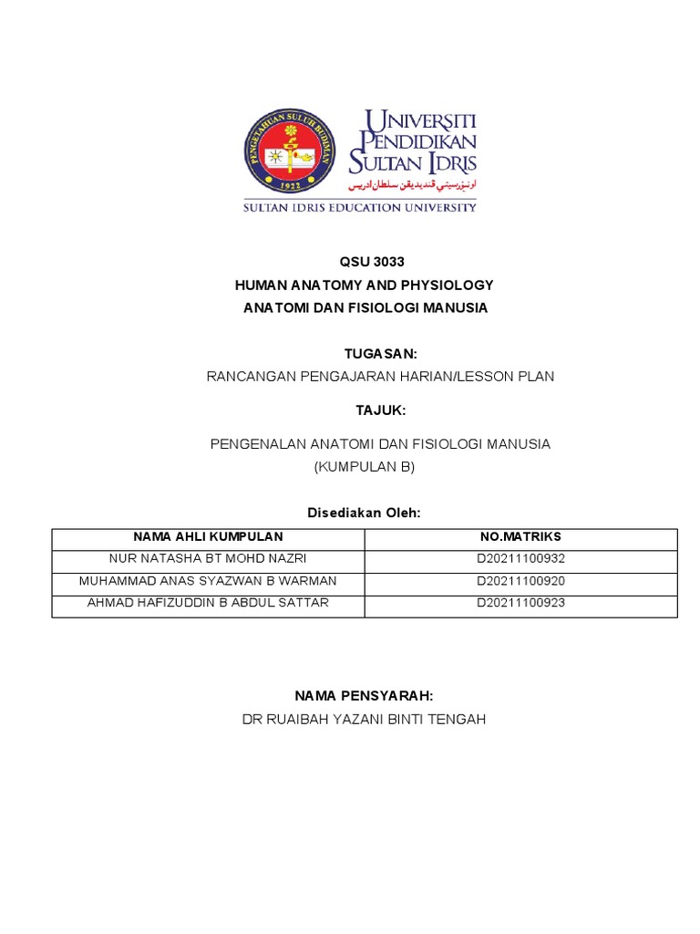 Anatomi RPH MT | PDF