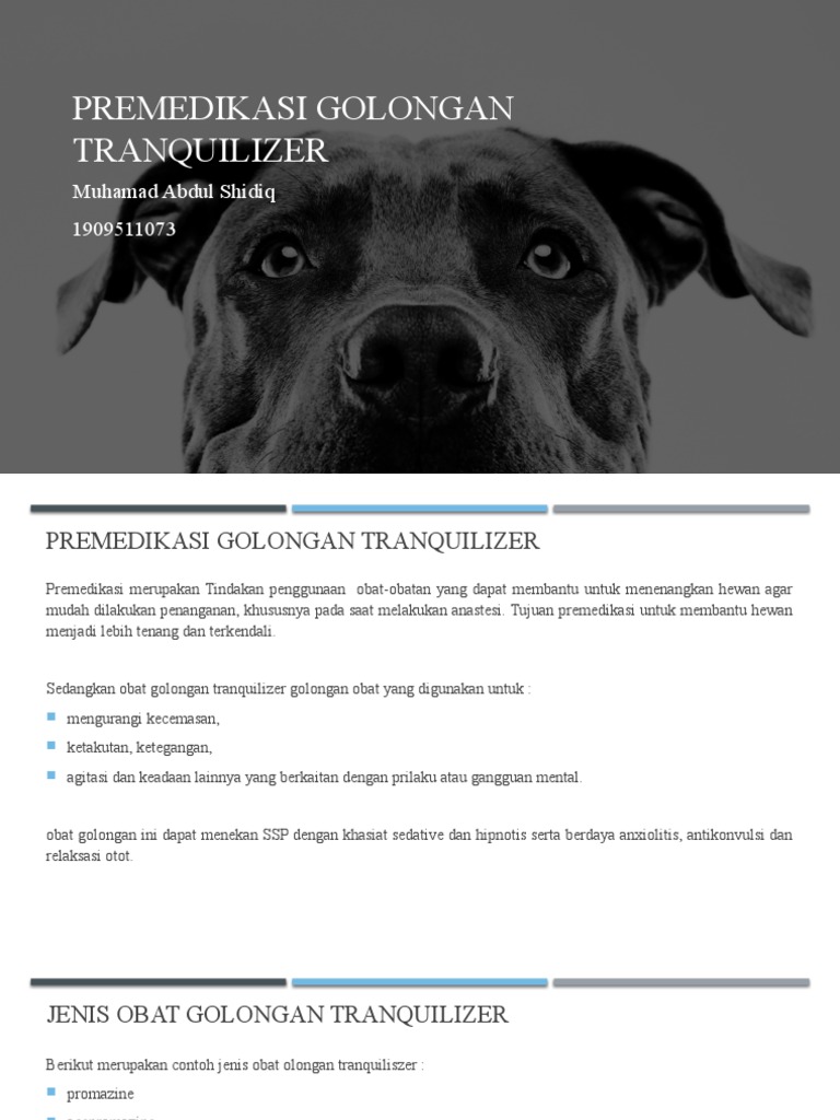 Premedikasi dengan Tranquilizer Hewan | PDF
