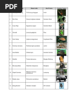 Maskot Flora Dan Fauna 33 Provinsi Di Indonesia | PDF