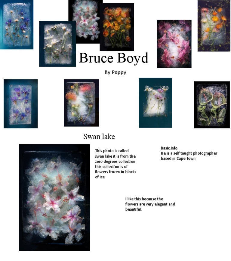 Bruce Boyd | PDF