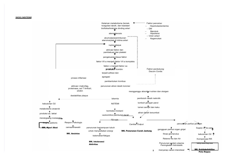Woc Nstemi | PDF