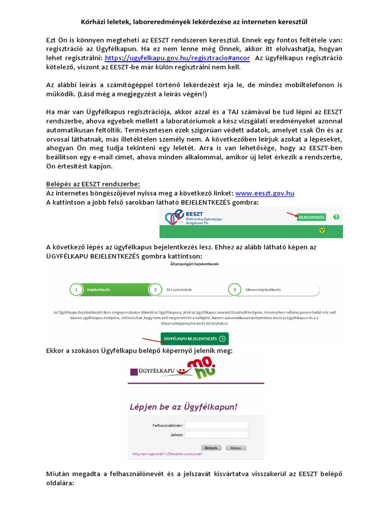 Korhazi Leletek Letoltese v01 | PDF