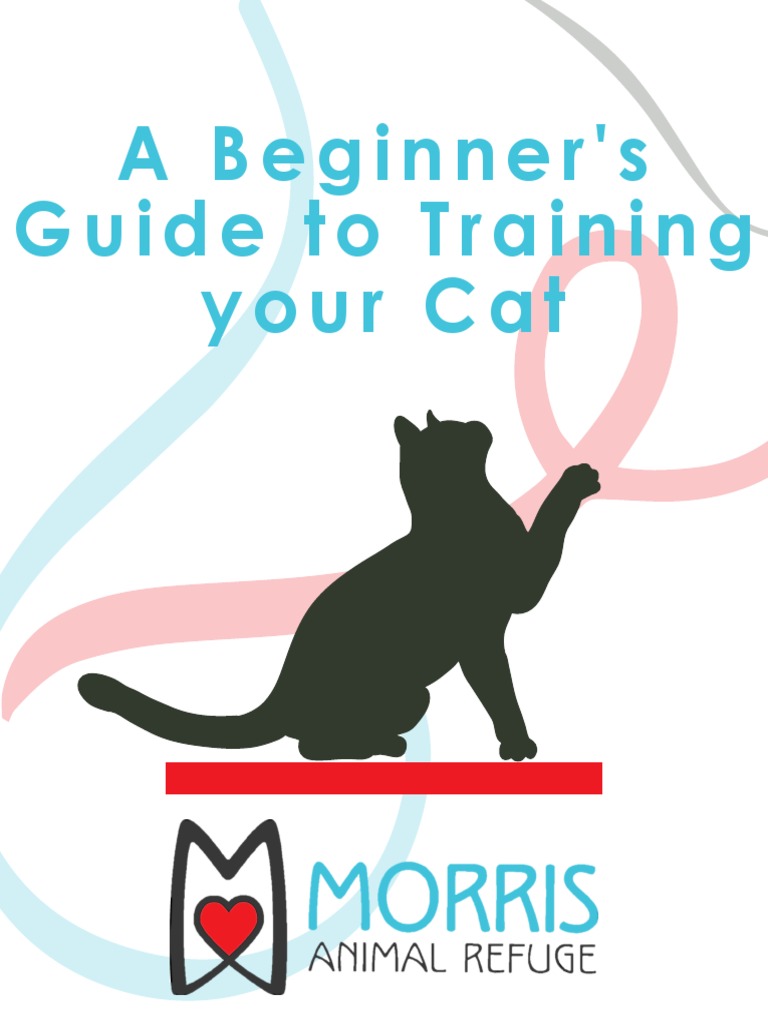 A Beginner's Guide To Training Your Cat | PDF | Psychological Concepts ...