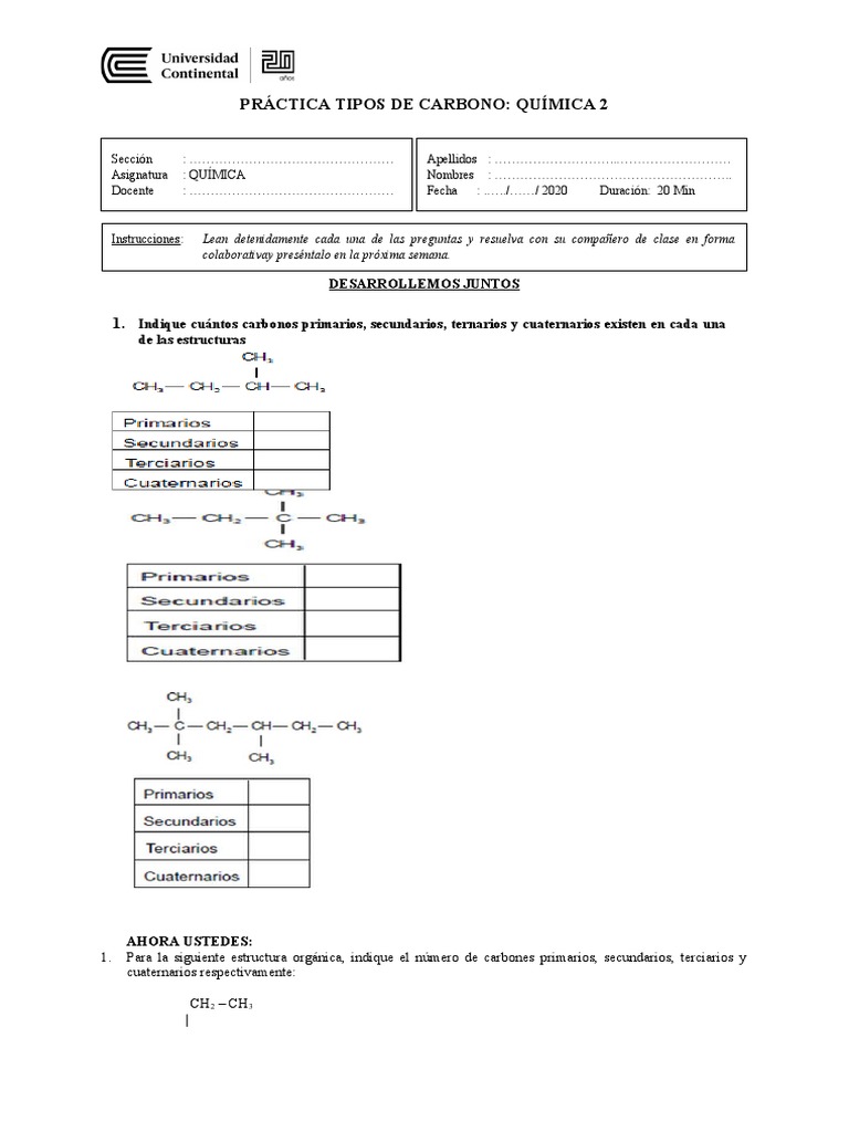 Sem 09 - PRÁCTICA - TIPOS DE CARBONO | PDF