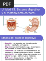 HEPAGRAS | PDF | Hígado | Bilis