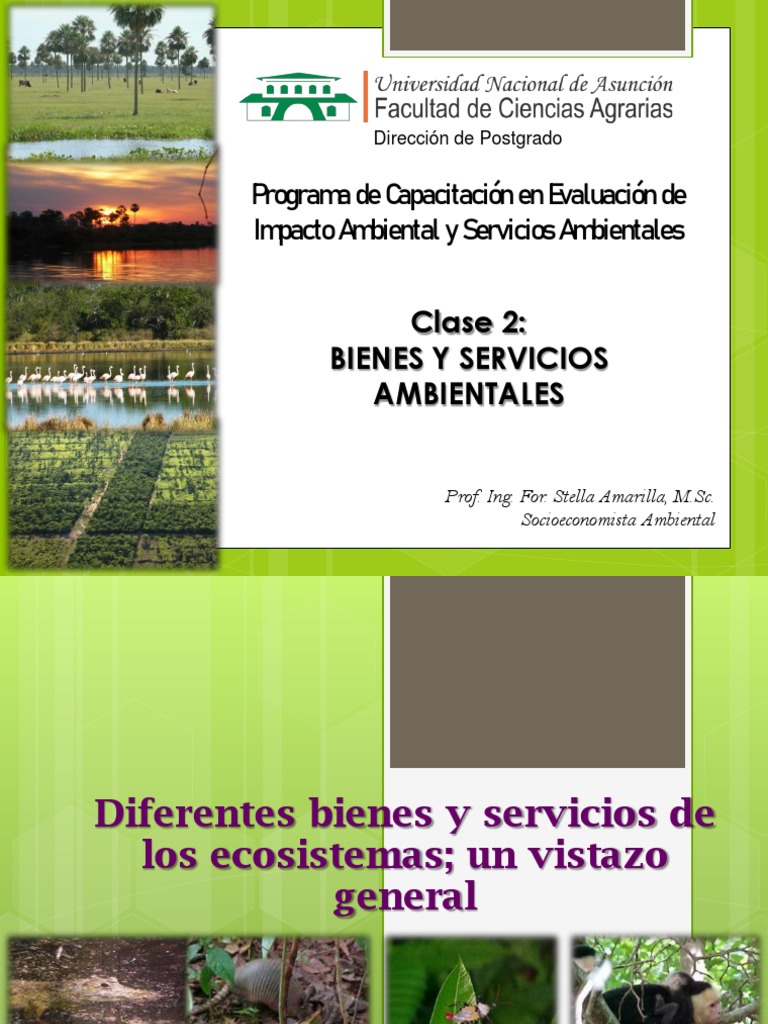 Clase 2 Valoración Económica Bienes y Servicios Ambientales | Descargar gratis PDF ...
