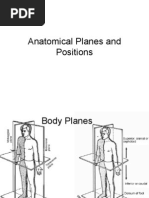 Prilepin's Chart | PDF | Weightlifting | Sports