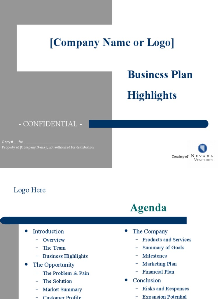 Business Plan Highlights Template | PDF | Securities (Finance) | Business