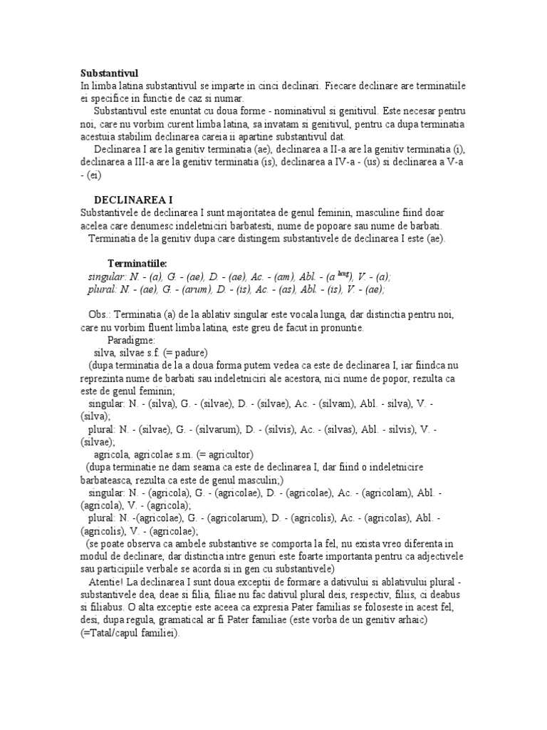 Gramatica Latina | PDF