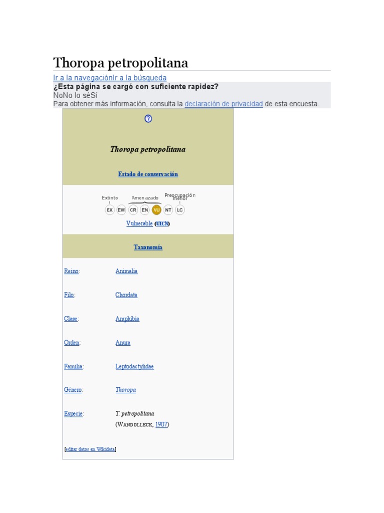Thoropa Petropolitana | PDF | Wikipedia