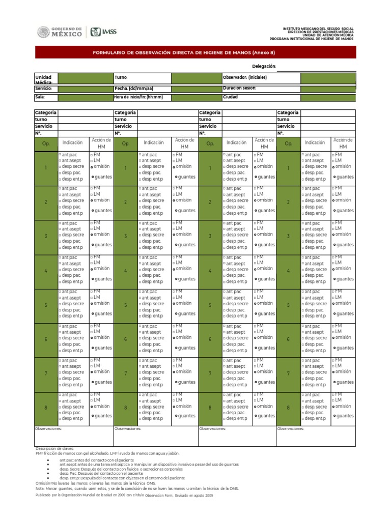 Anexo 8 Observación Directa | PDF