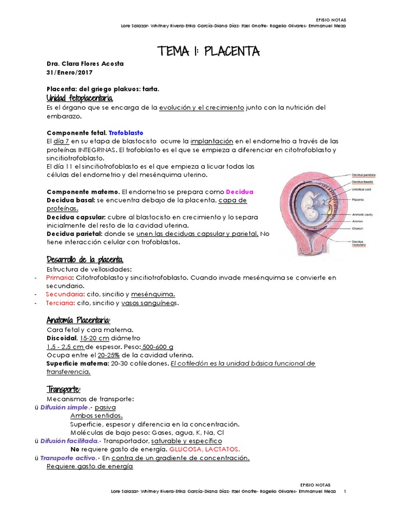 Episio Notas | PDF | Placenta | El embarazo