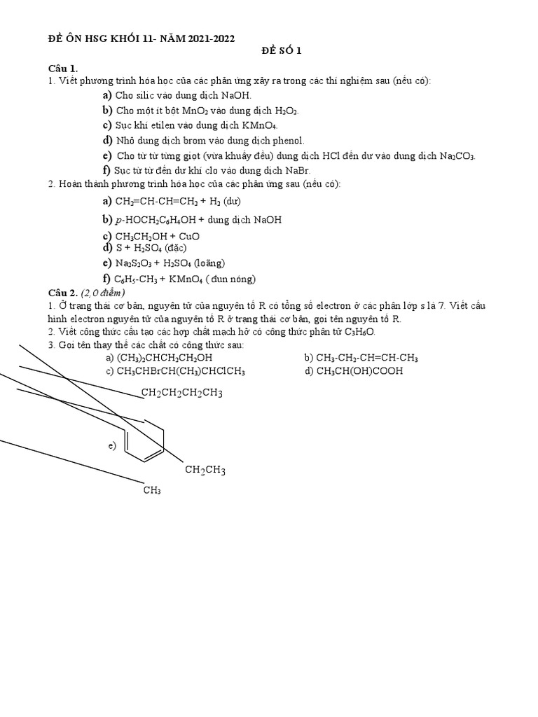 ĐỀ 01-HSG 11 2020-2021 | PDF