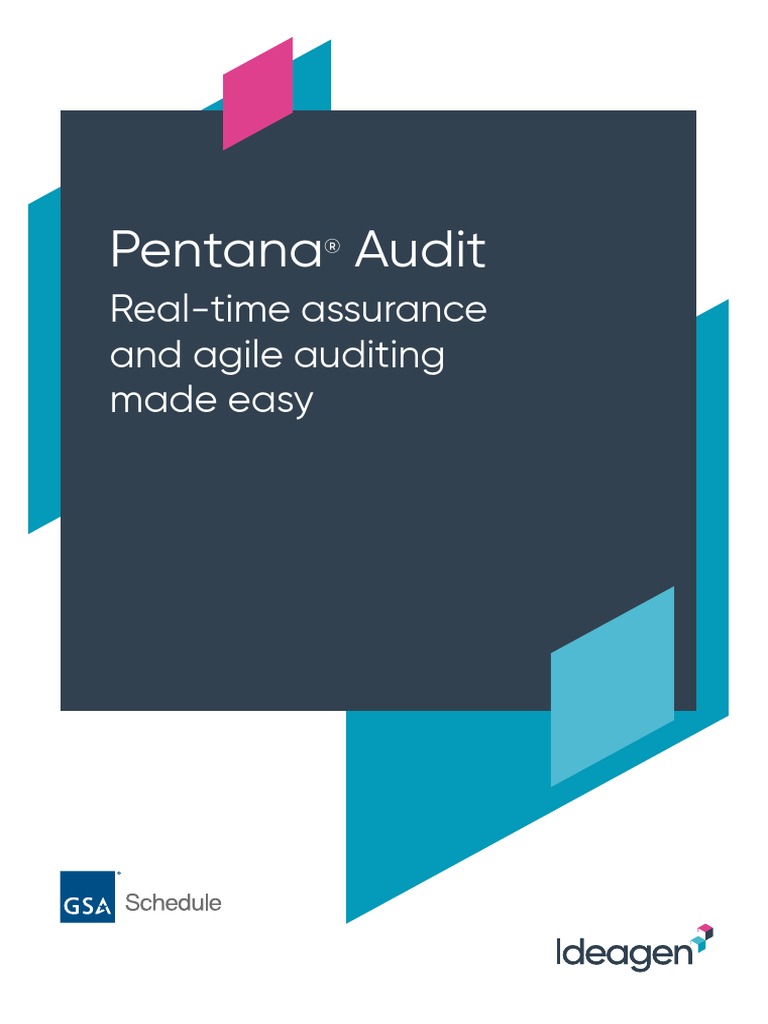 Pentana Audit: Real-Time Assurance and Agile Auditing Made Easy ...