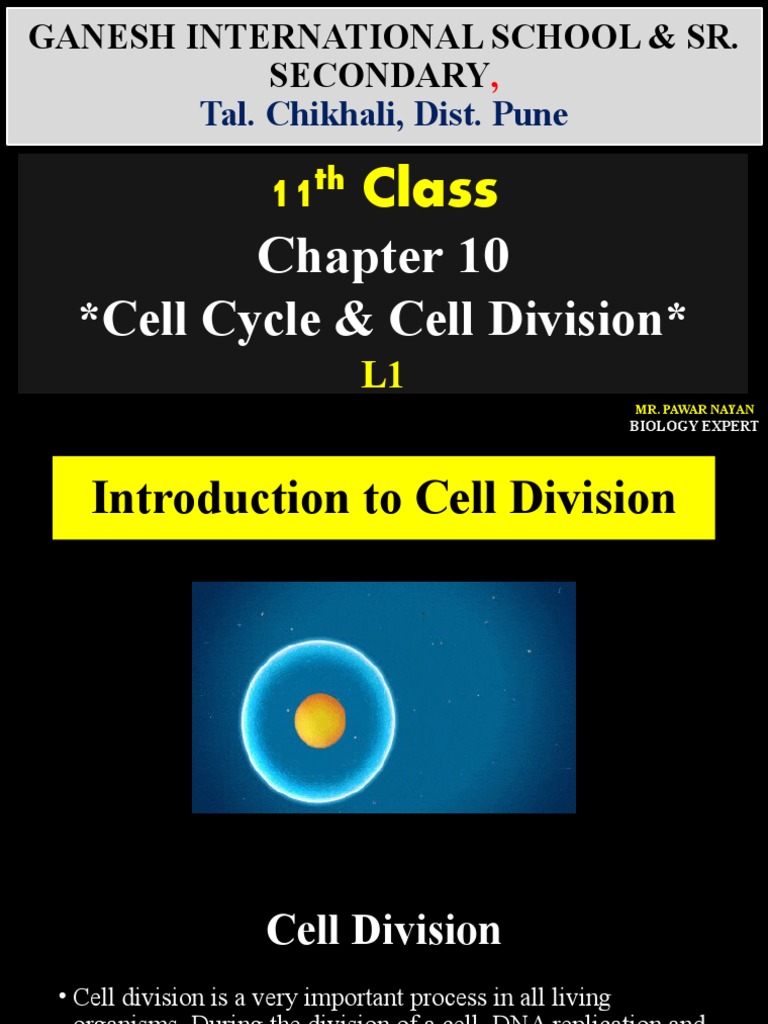 Cell Cycle & Cell Division | PDF | Meiosis | Mitosis