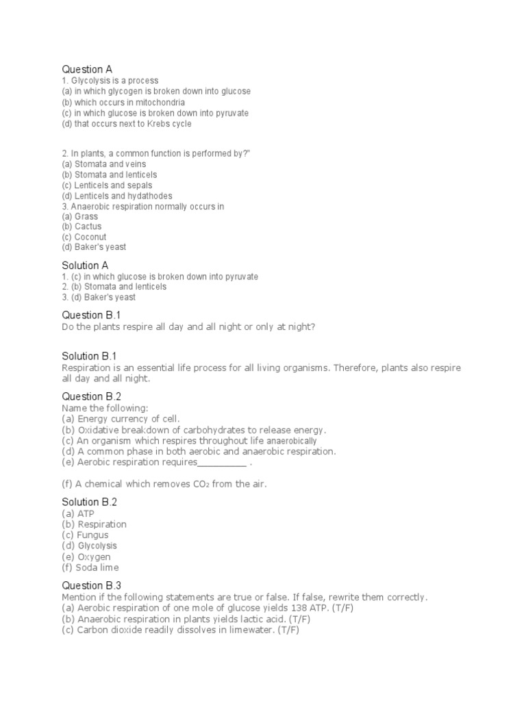 Grade 9 Respiration in Plants - Q and A | PDF | Cellular Respiration ...