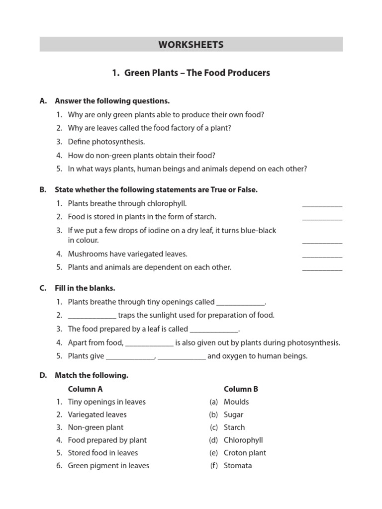 Worksheets With Answers | PDF | Soil | Water